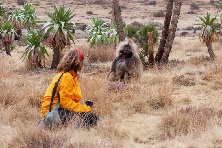 Adventure Associates - Small Group Adventure Tours